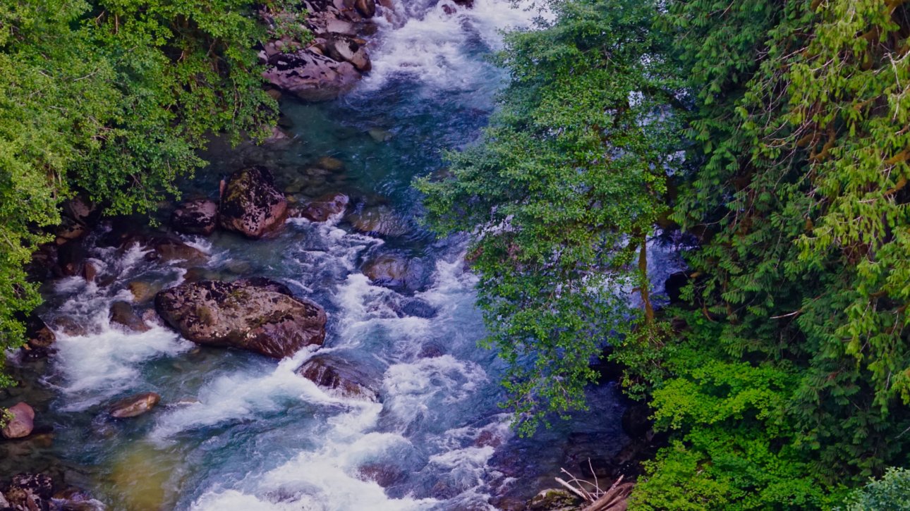 Les 7 plus belles cascades de Martinique à ne pas manquer