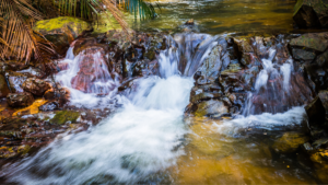 Les 7 plus belles cascades de Martinique à ne pas manquer