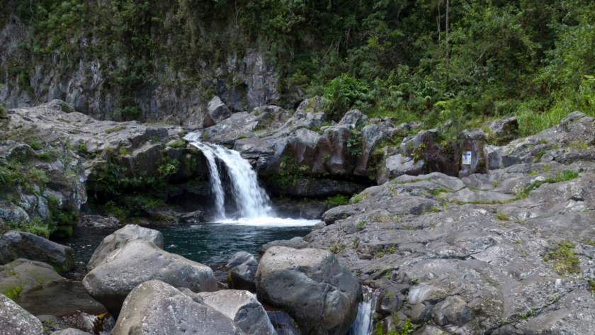 Les 7 plus belles cascades de Martinique à ne pas manquer